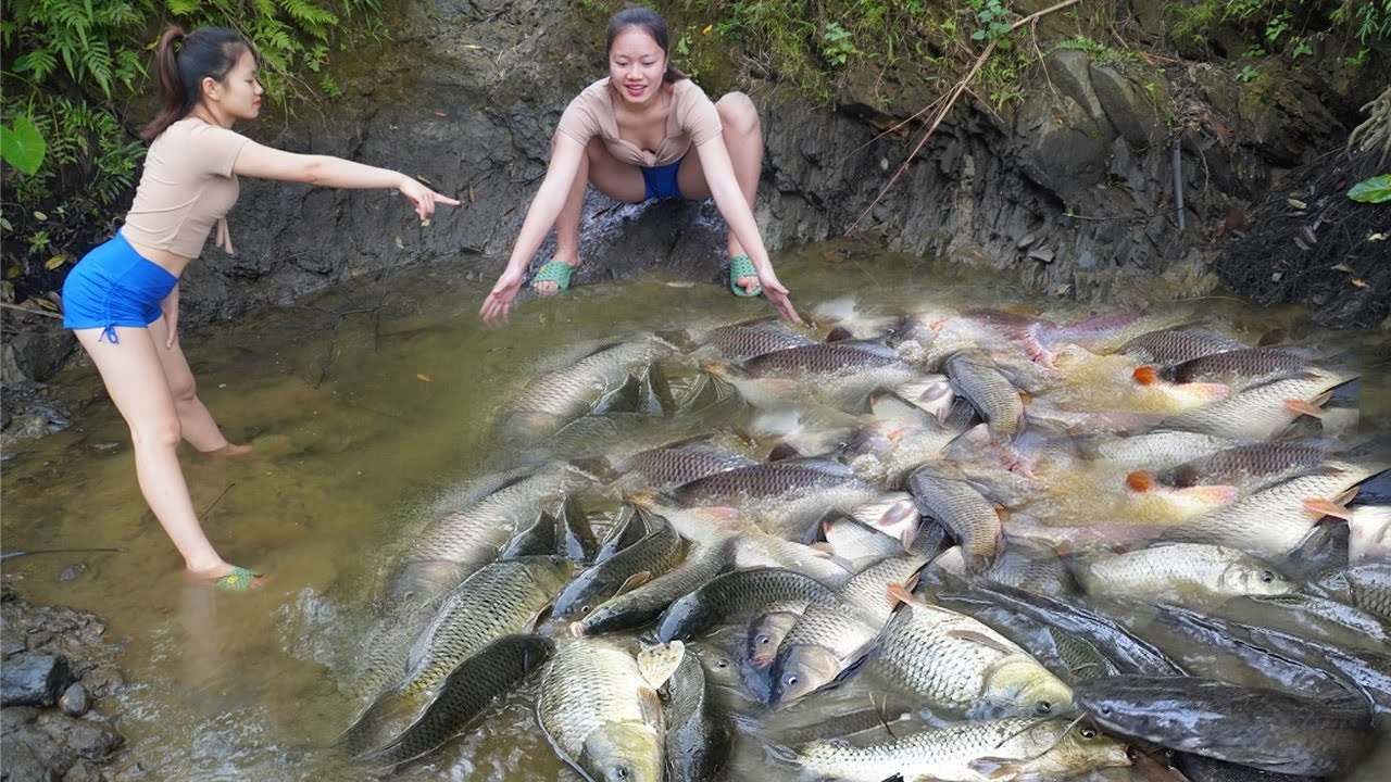 Extreme Fishing! Thousands of Fish Jumping Into the Net At Once - YouTube