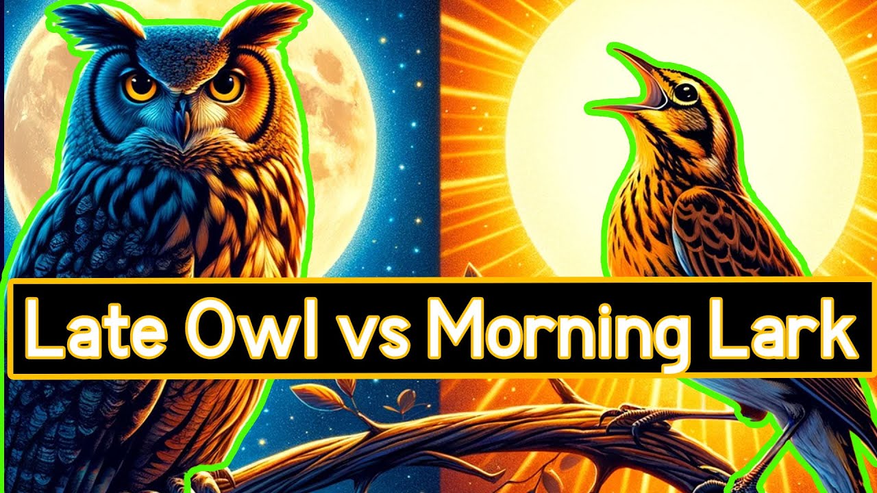 Night Owl vs Morning Lark. Late Sleeper - Morning person - YouTube