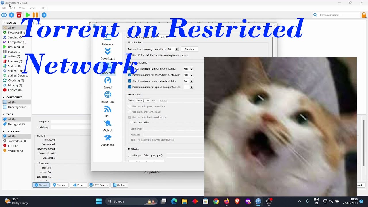 Using Torrent in Restricted Network - YouTube