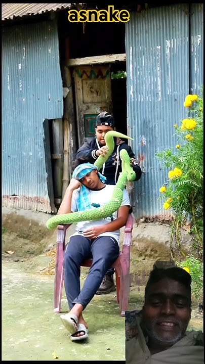 asnake #snakeprank - YouTube