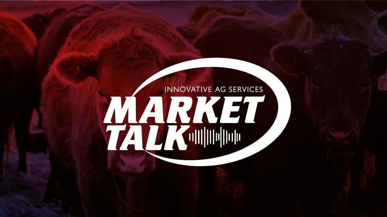 IAS Market Talk with David Rueber - 09/3/25 - YouTube