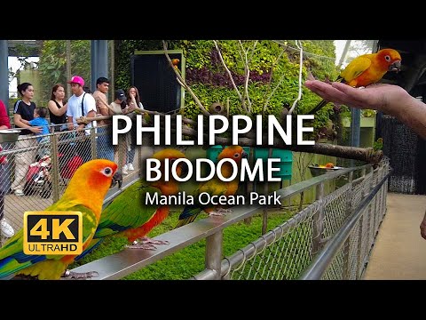 [4K] Manila Ocean Park's PHILIPPINE BIODOME | New Attraction | Walk ...