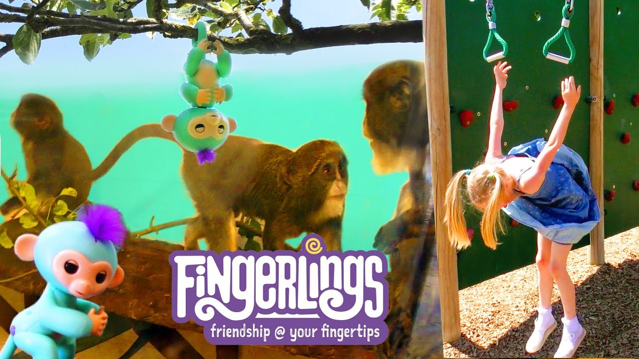 Fingerlings meet real monkeys at the zoo - YouTube