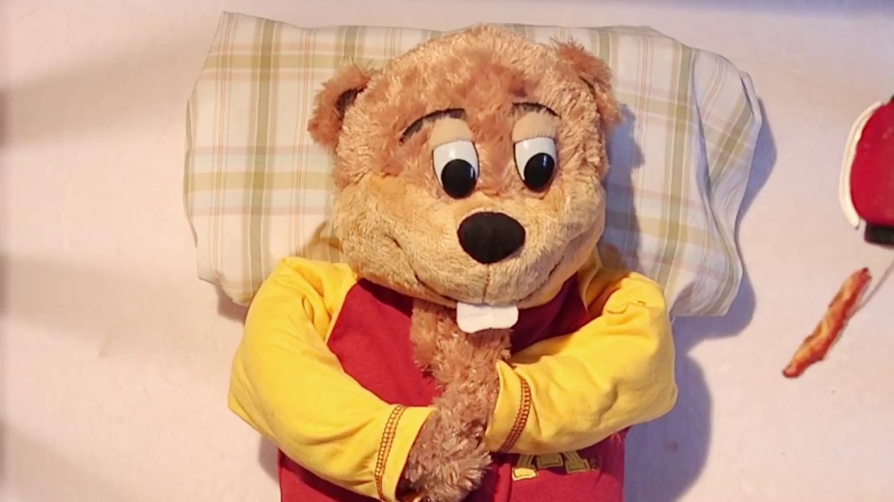 Goldy Discovers - YouTube