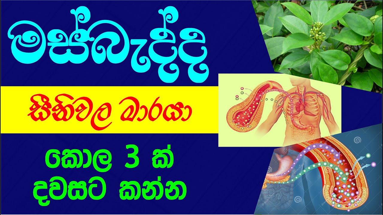 Masbedda | දියවැඩියාවට බෙහෙත් | Ayurvedic medicine for Blood sugar ...