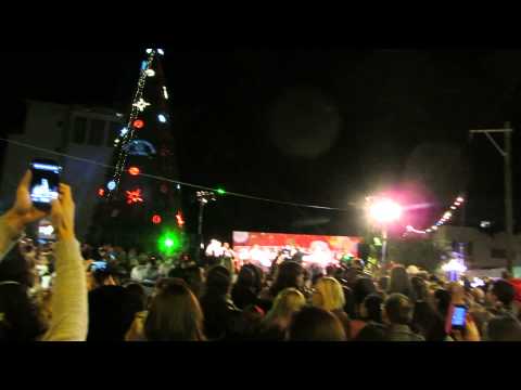 Festive Lighting of 15-Meter Christmas Tree in Jaffa