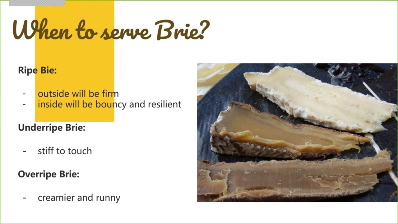 COR 201 Brie Presentation - YouTube