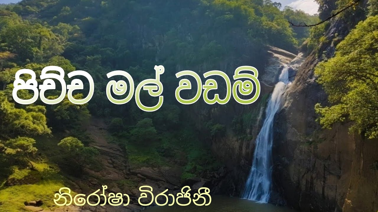 පිච්ච මල් වඩම්♥️| Pichcha mal wadam🌼♥️ - YouTube