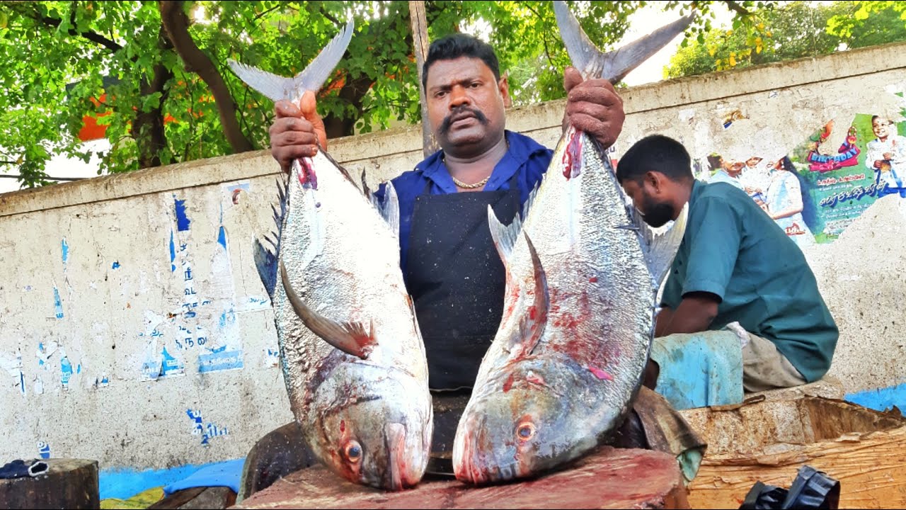SELVAM♤MASSIVE LA PAARAI ♤CUTTING VIDEO ♤AMAZING CUTTING #kasimedu ...