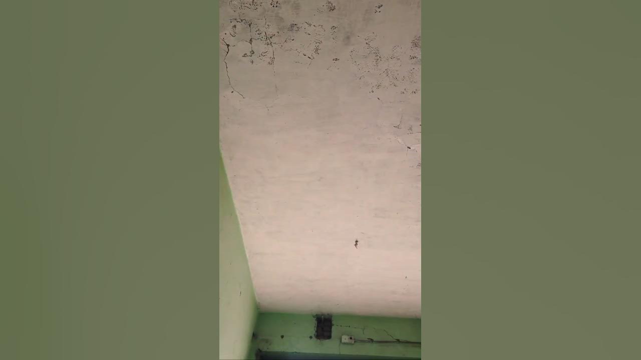 Highlight 58:15 - 1:03:15 from Anupam f2y is live! - YouTube