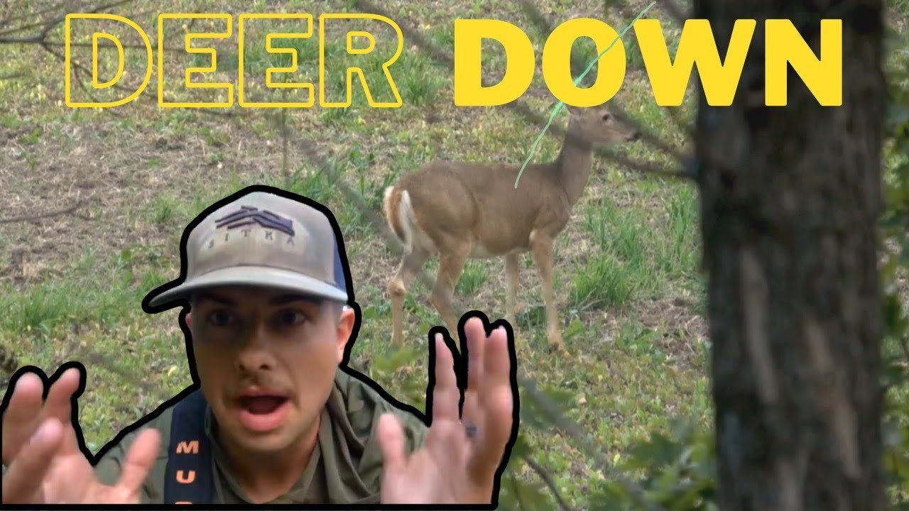 Early Season Deer Hunting | Deer Down! - YouTube