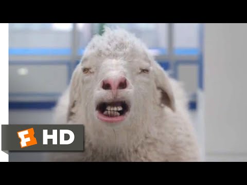 Clifford the Big Red Dog (2021) - Saving Clifford Scene (8/10) | Movieclips