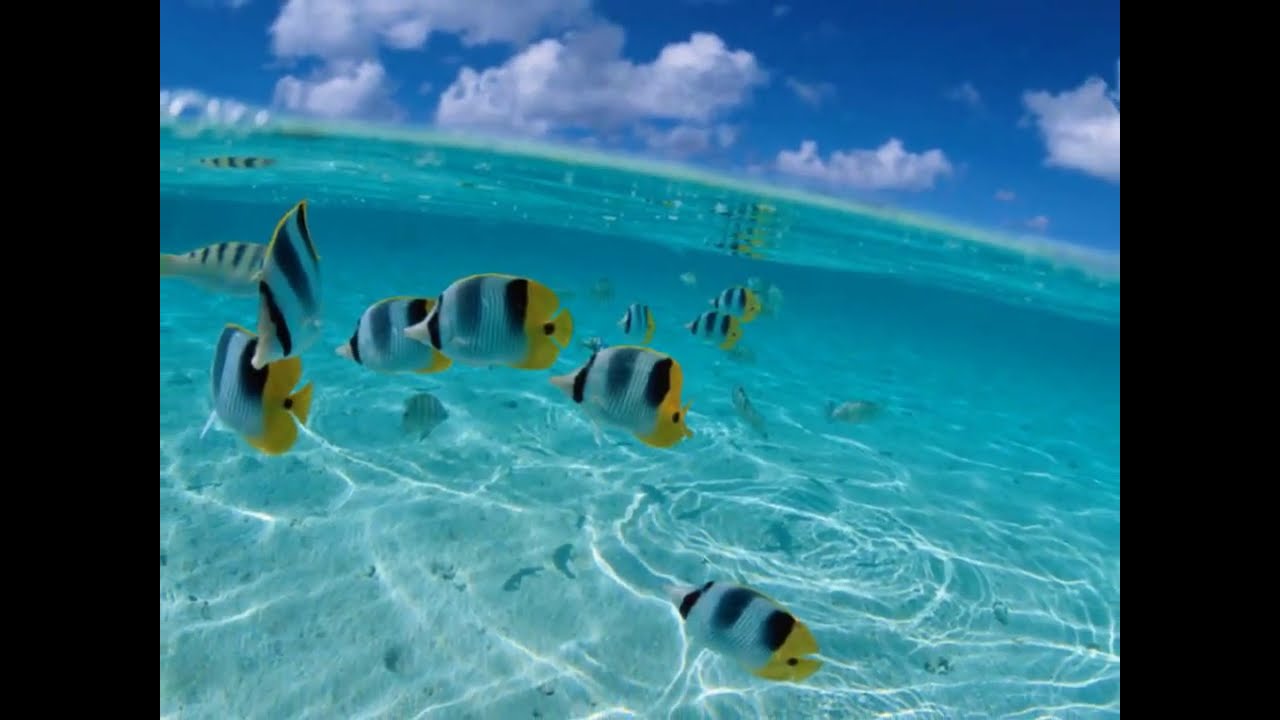 Mac OS X Classic Beach Screensaver - YouTube