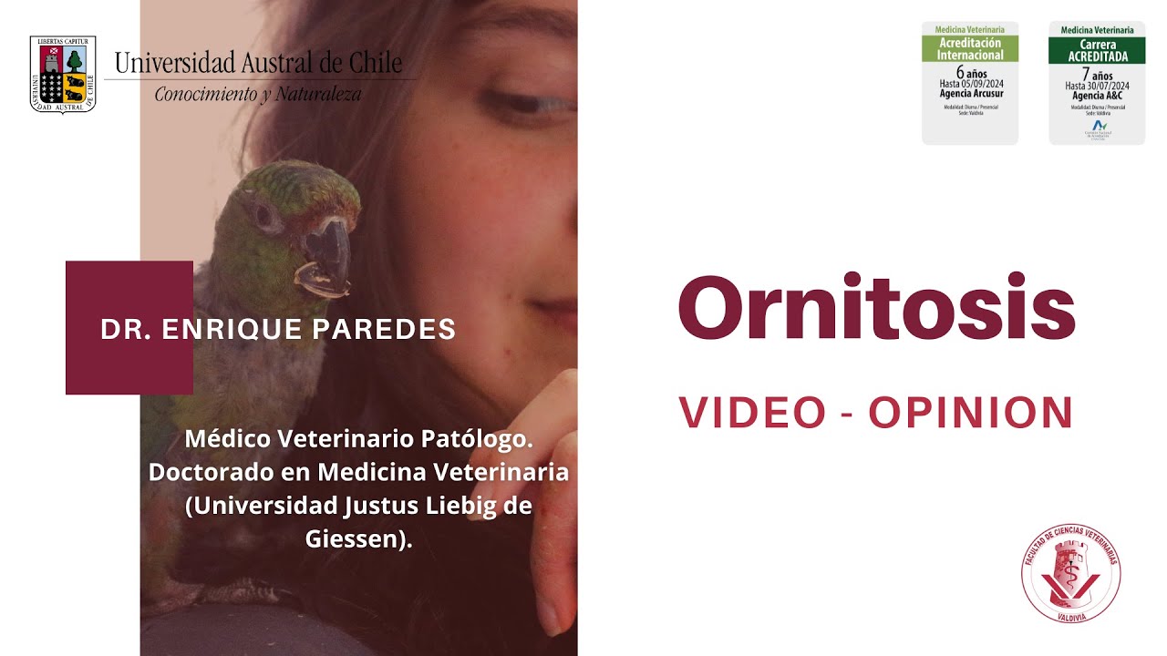 Sobre contagio con Ornitois - VideoOpinion - Dr. Enrique Paredes - YouTube
