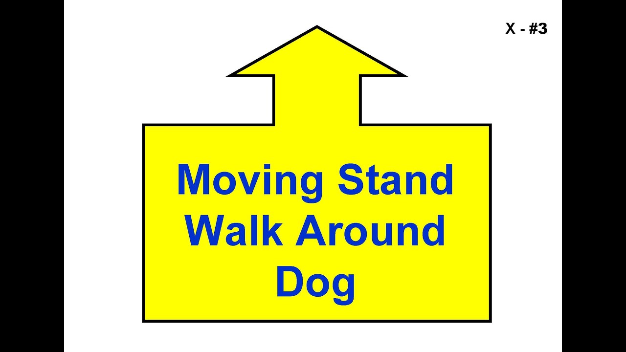 ANKC 2026 Rally Sign X3: Moving Stand - Walk Around Dog (Excellent ...