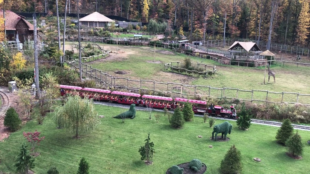 Railfanning the Essex County Turtle Back Zoo Railroad on Halloween 2021 ...