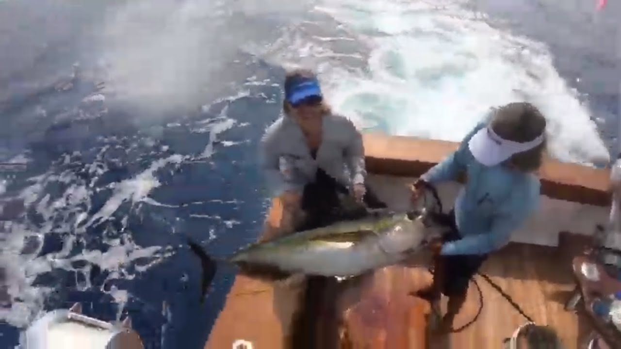 Fishing aboard the Divergent in Kona, Hawaii - YouTube