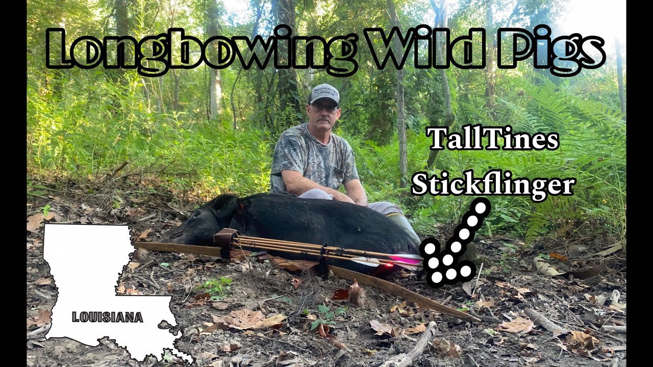 Longbow Pig Hunt Success | August 2024 - YouTube