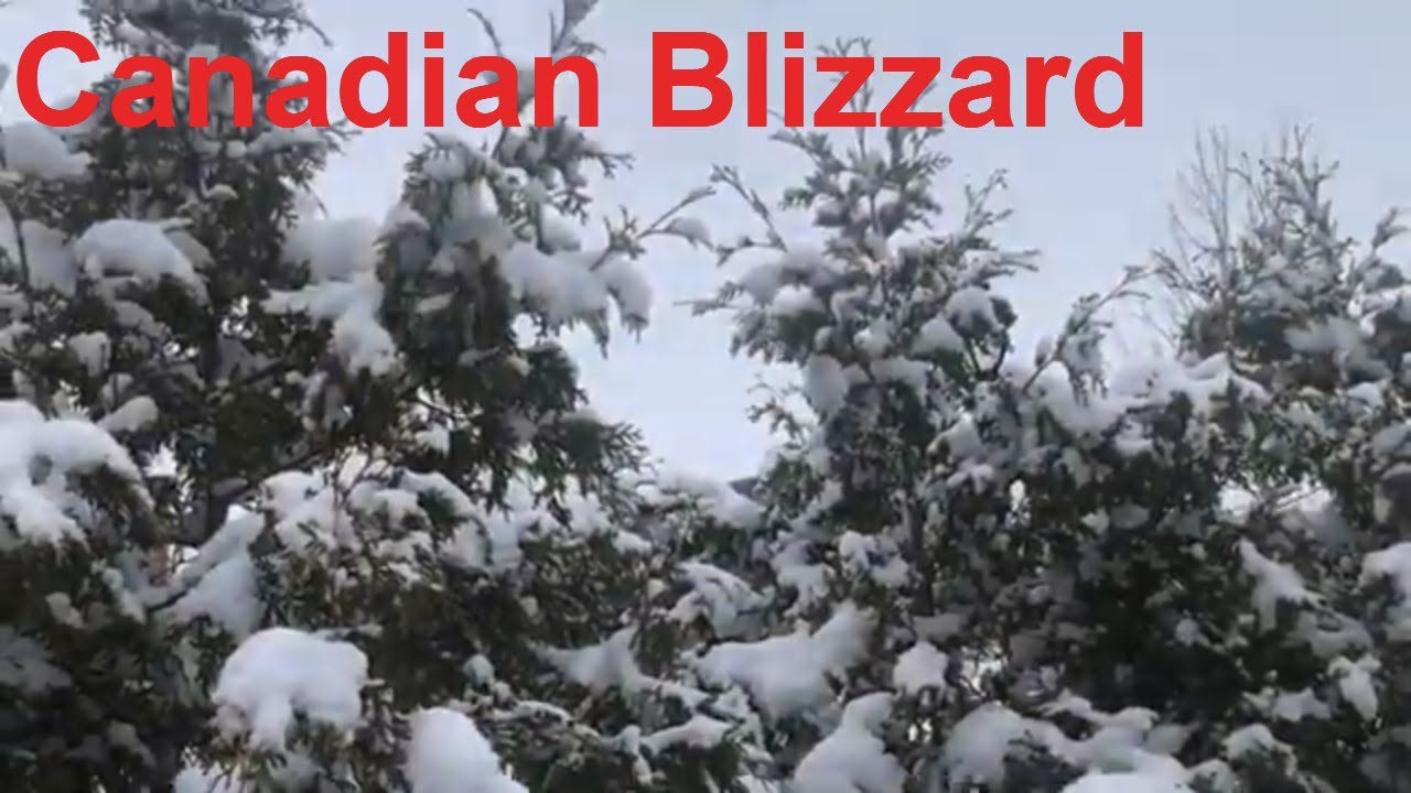 canadian blizzard - YouTube