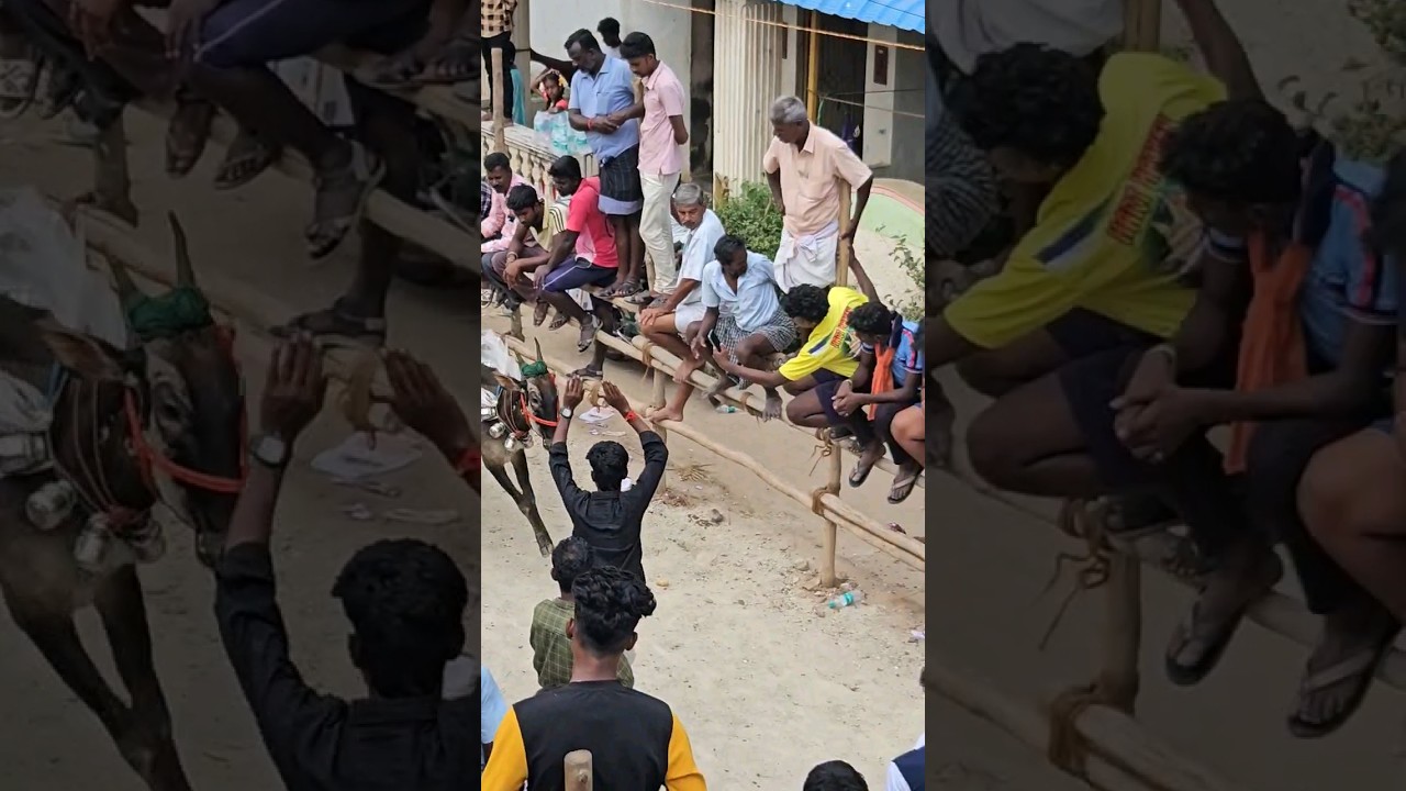 Siluku ku Suluku nu Nenaikaran Atha 13.43 la Oduthu - Kammasamuthiram ...