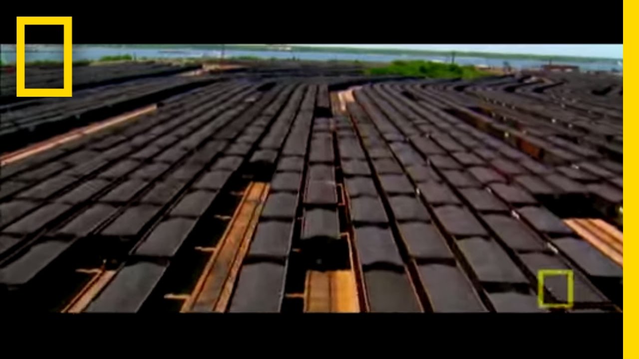 When Humans Disappear | National Geographic - YouTube