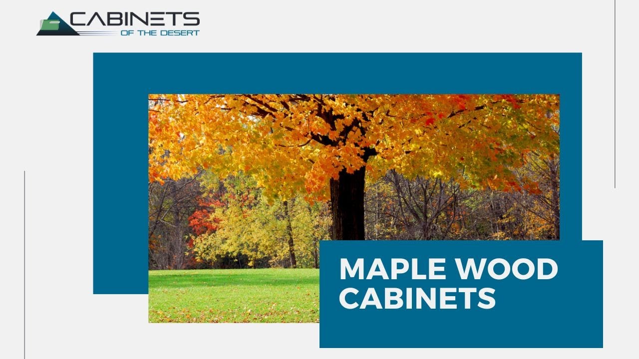 Maple Wood Tree