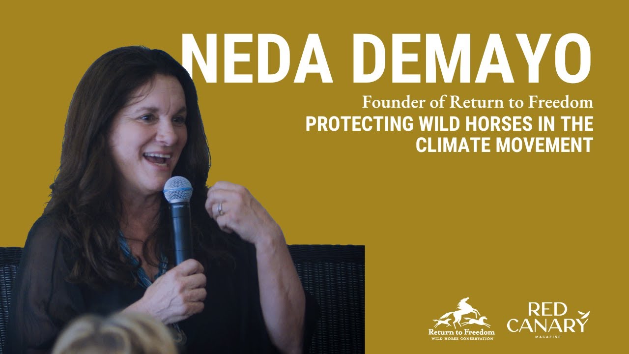 Neda DeMayo on Protecting Wild Horses in the Climate Movement - YouTube
