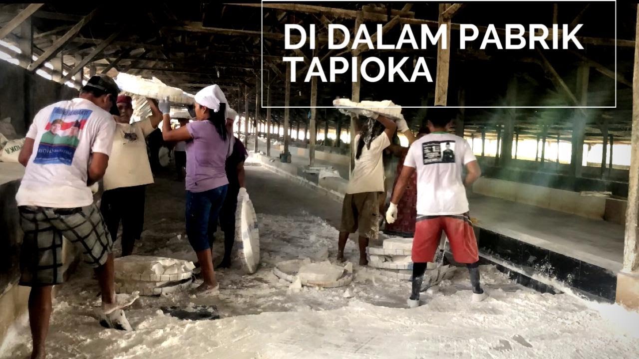 Jalan - Jalan ke Pabrik Tapioka di Lampung Tengah - YouTube