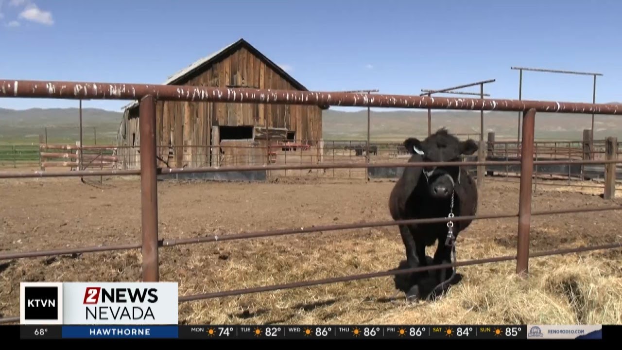 Nevada Backroads: Bailey Ranch - YouTube