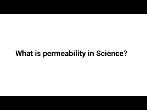 What Is The Definition Of Permeability In Science