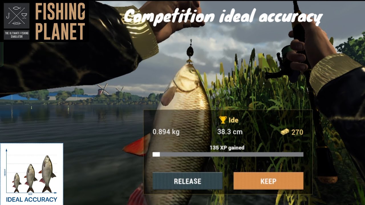 Competition idel accuracy 1kg (2,26)lbs | Fishing planet mobile - YouTube