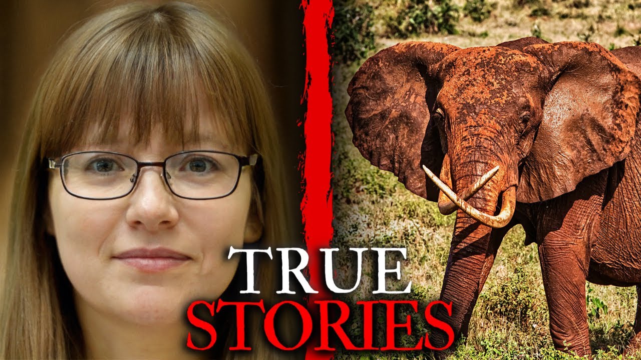 3 REAL Elephant Attack Stories That Will Scare You - YouTube