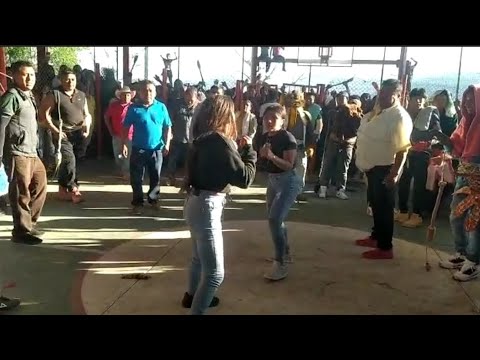 PELEA DE TIGRES (MUJERES) 25/04/2023