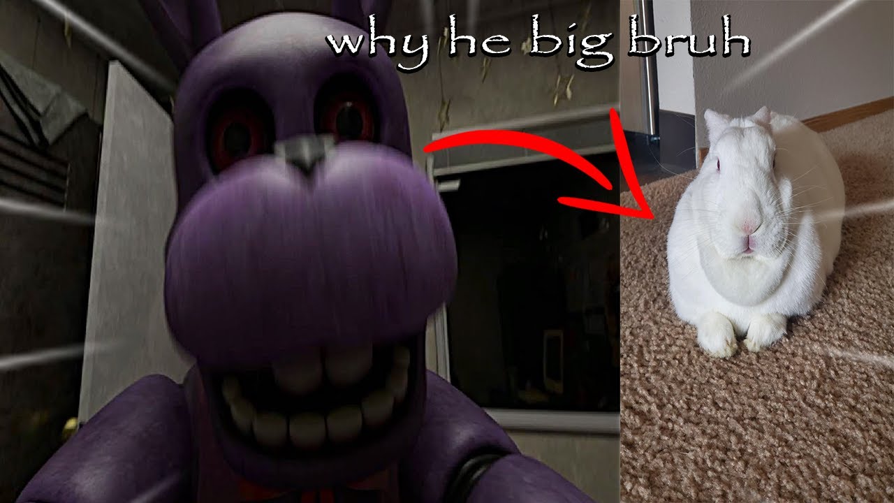 these animals CRAZY bruh 😭| Freddy's: Reanimated - YouTube