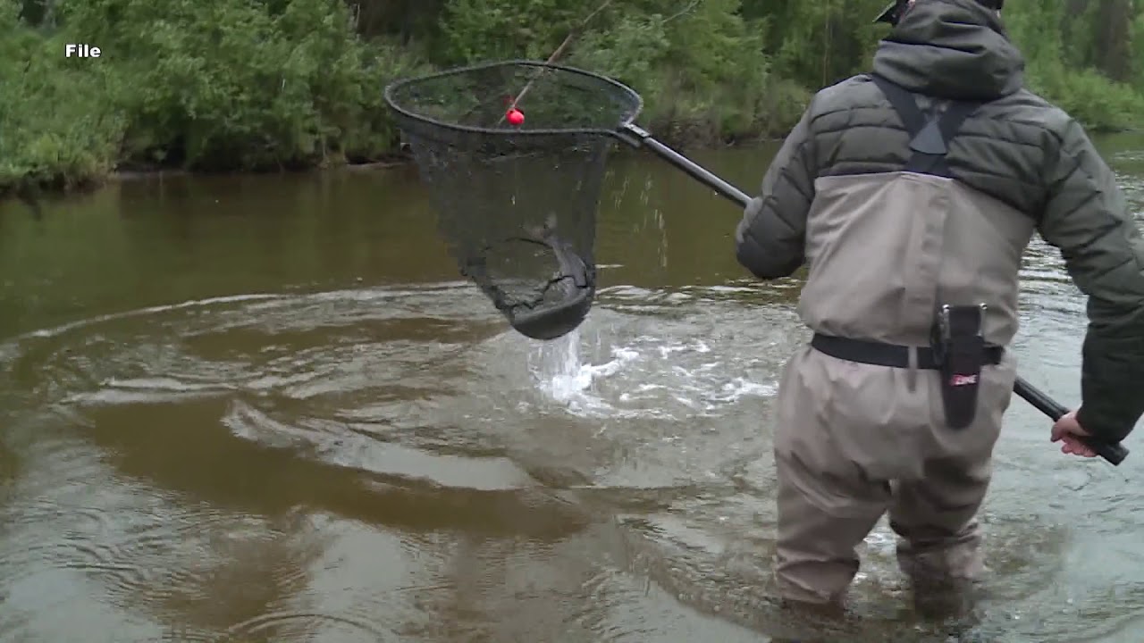 fish caught yelling - YouTube