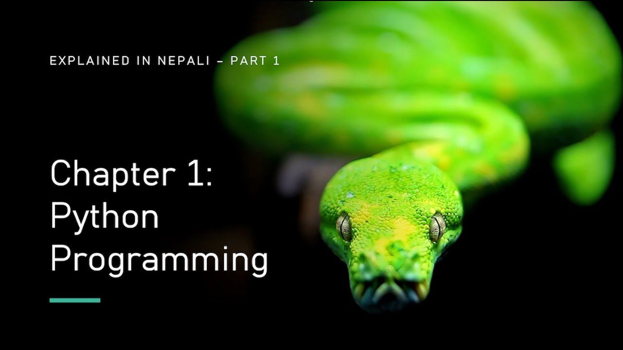 Chapter 1: Python Basics - Part 1 | Explained in Nepali - YouTube