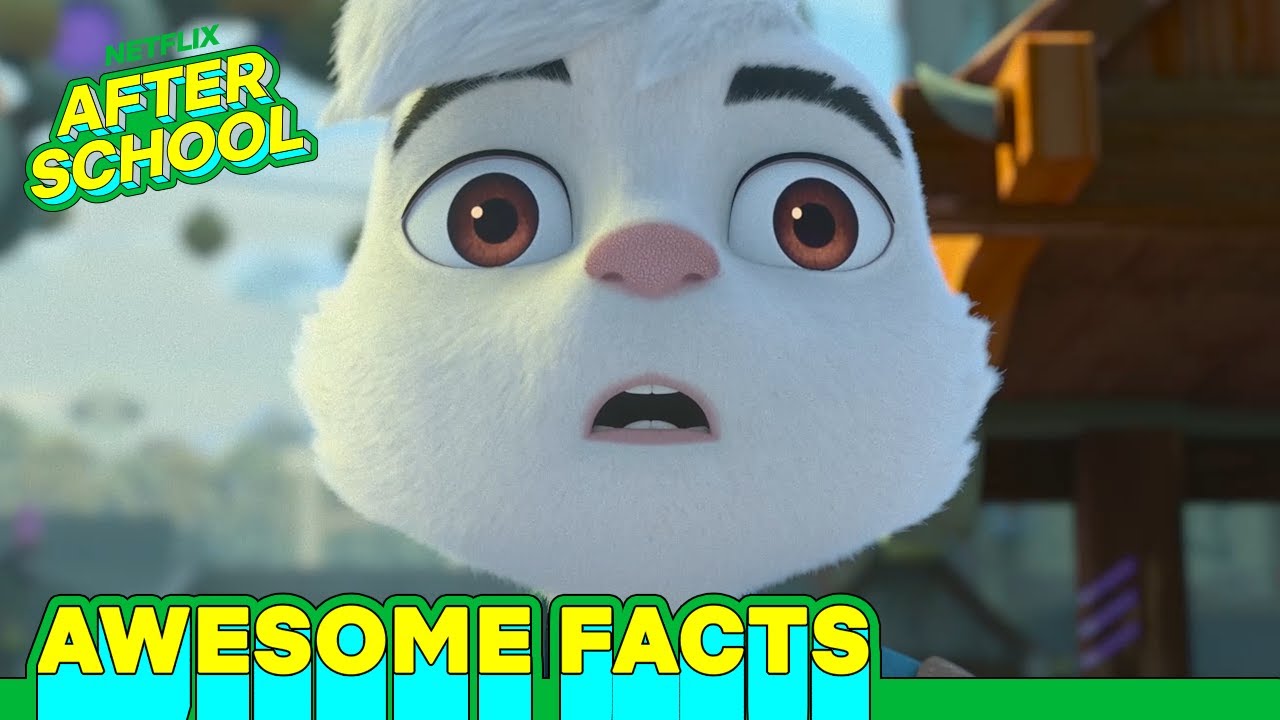 Samurai Rabbit Facts You NEED To Know! 🐰🗡️ | Samurai Rabbit: The Usagi ...