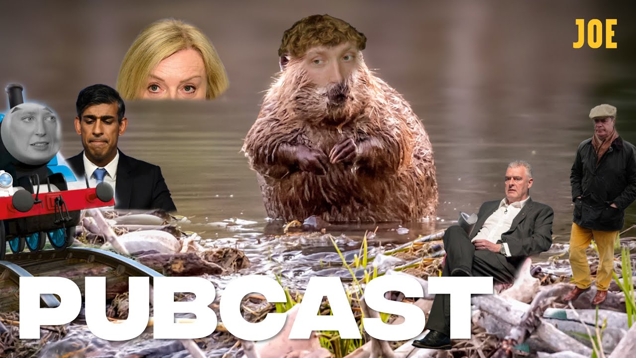 Tory conference, the resurgence of the beaver, and the death of HS2 ...