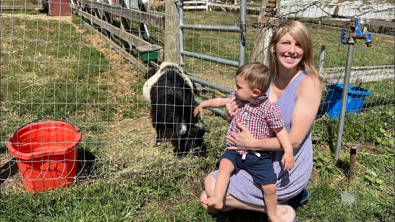 MUSCOOT FARM PARK - KATONAH, NEW YORK - WESTCHESTER COUNTY - YouTube