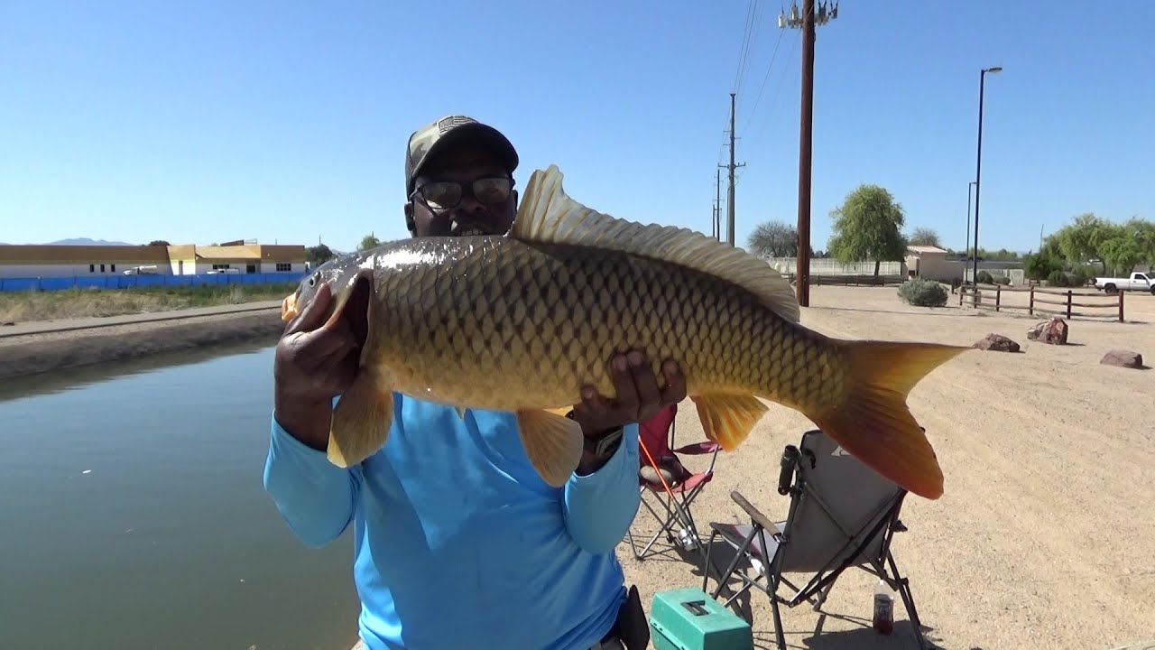 AMAZING DAY FISHING !! (21.LB Common Carp) - YouTube