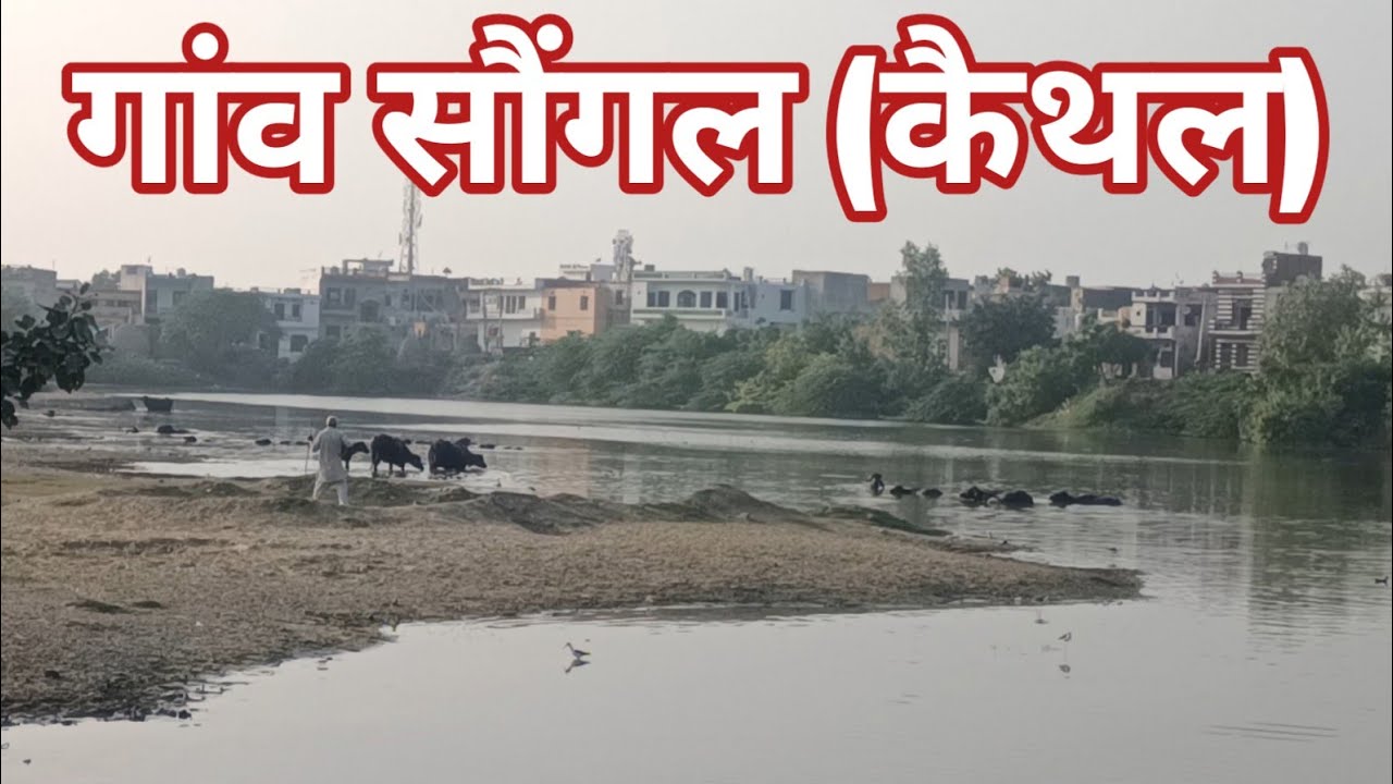 Episode 30 Village History Songal गांव सौंगल की जानकारी - YouTube