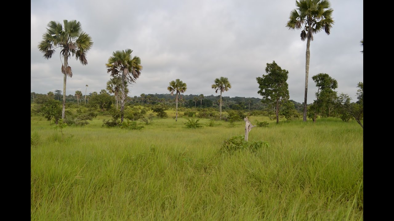 Mbam et Inoubou. Canton Élip.village Kananga - YouTube