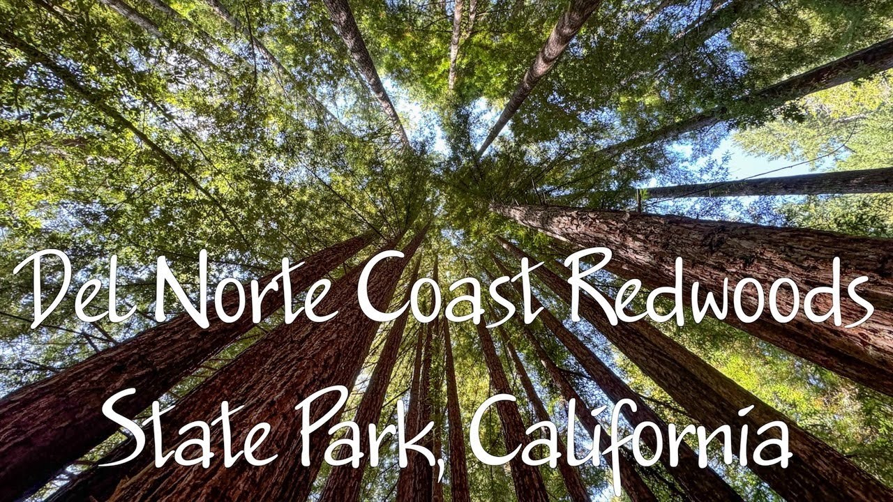 Del Norte Coast Redwoods State Park, California - YouTube