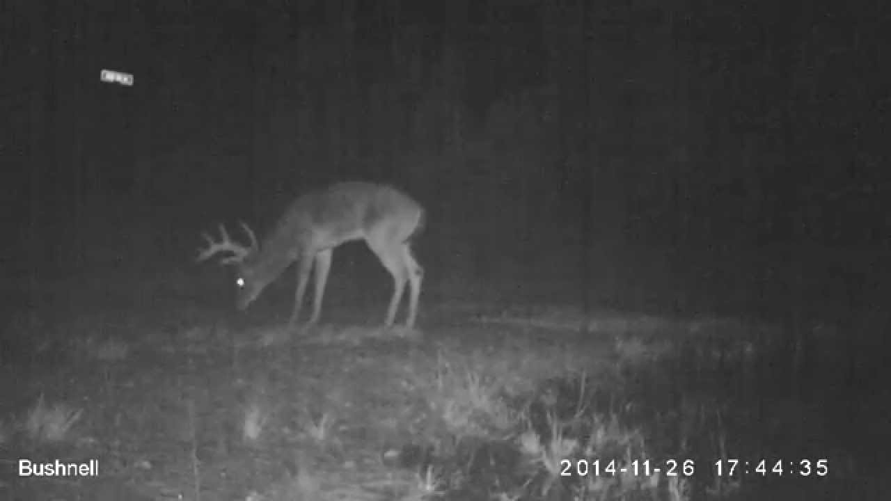 Big 9 pointer 11-26-14 - YouTube
