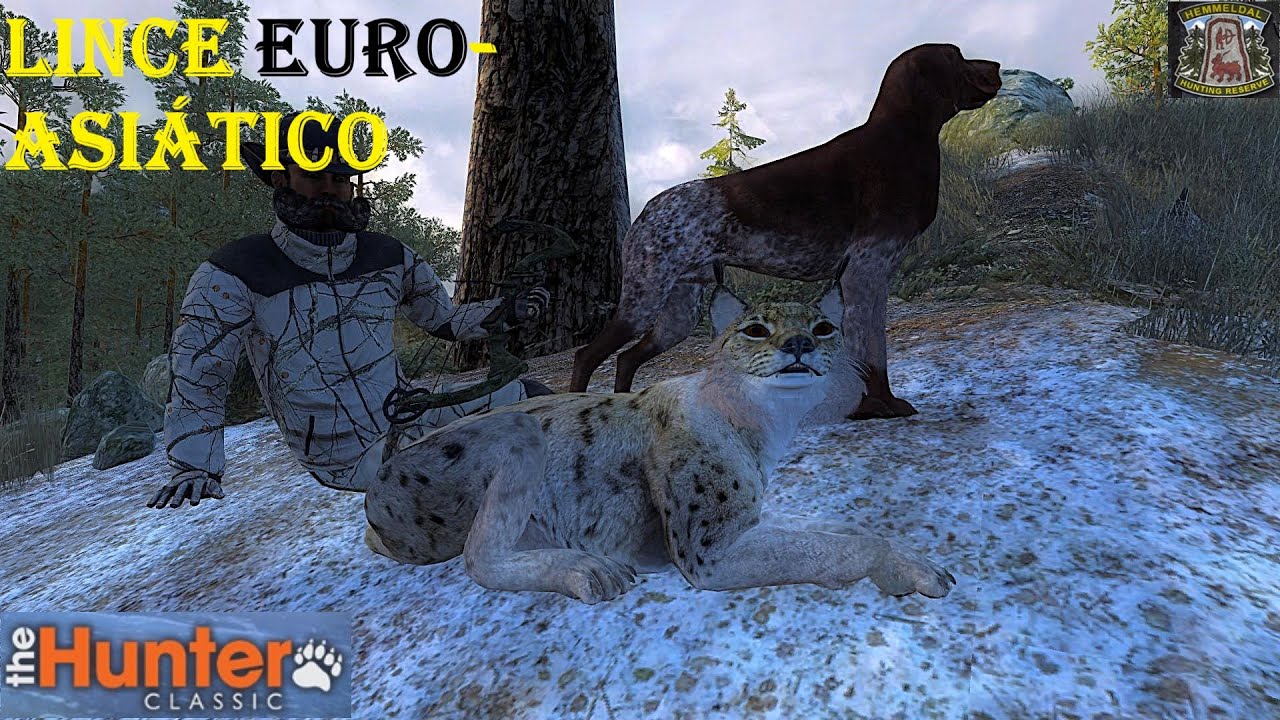 The hunter classic, animal status em foco - lince euroasiático - YouTube