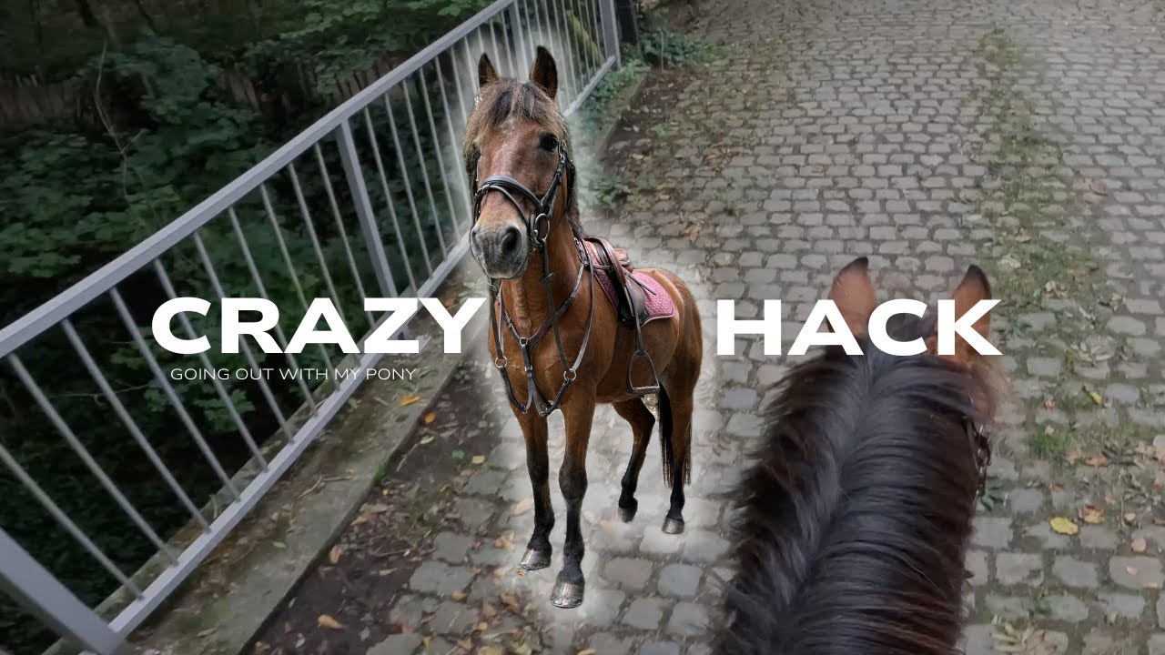 THIS HACK WAS THE OPPOSITE OF BORING🤪😨 | helmet cam - YouTube