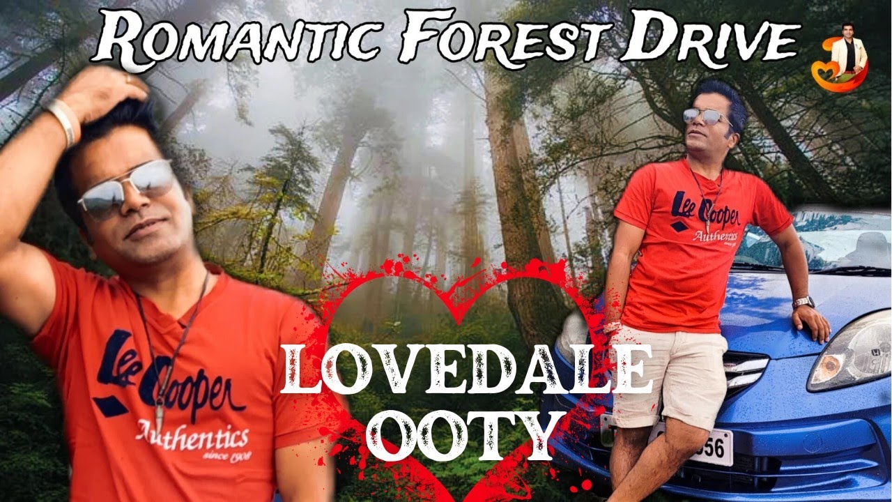 Ooty Lovedale Forest Drive 🚗 | Valentines Tourist Places in Ooty | 4K ...