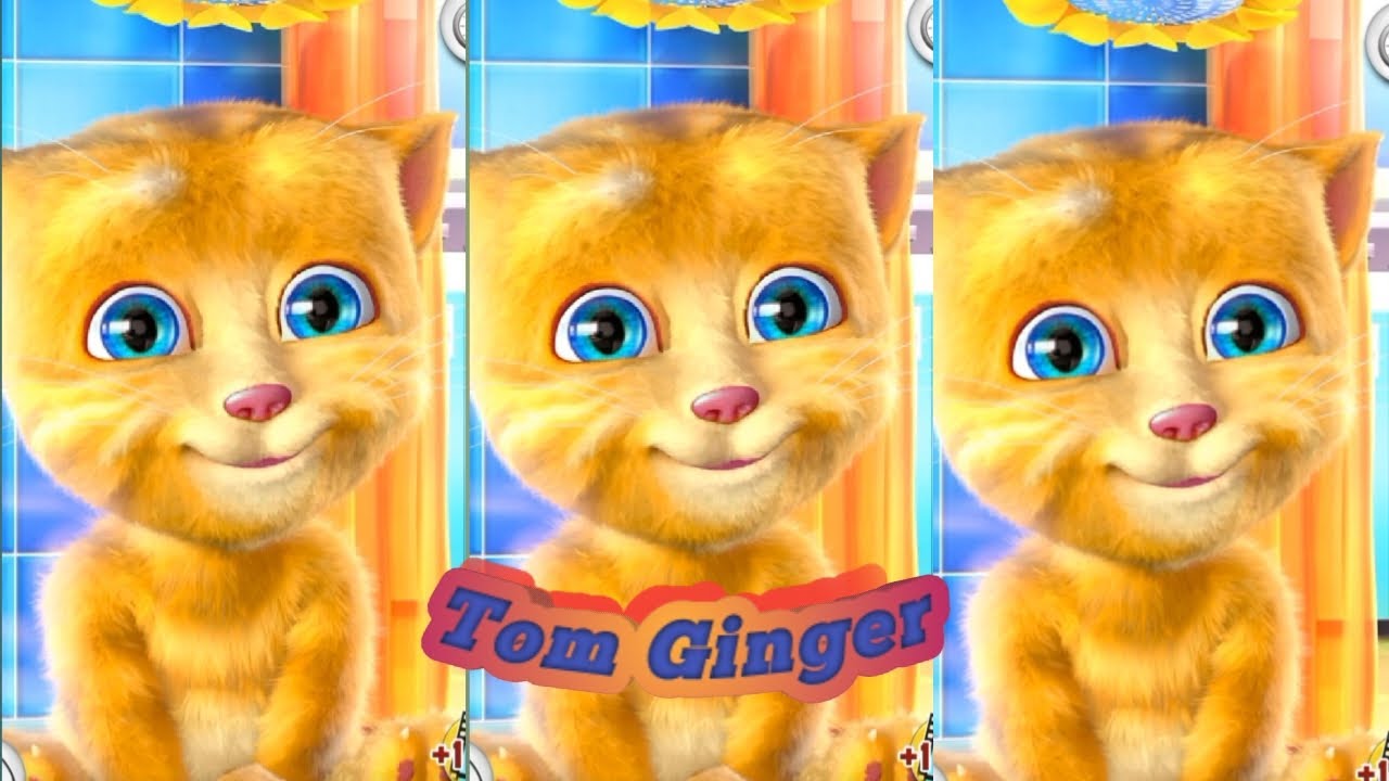 Talking Ginger - YouTube