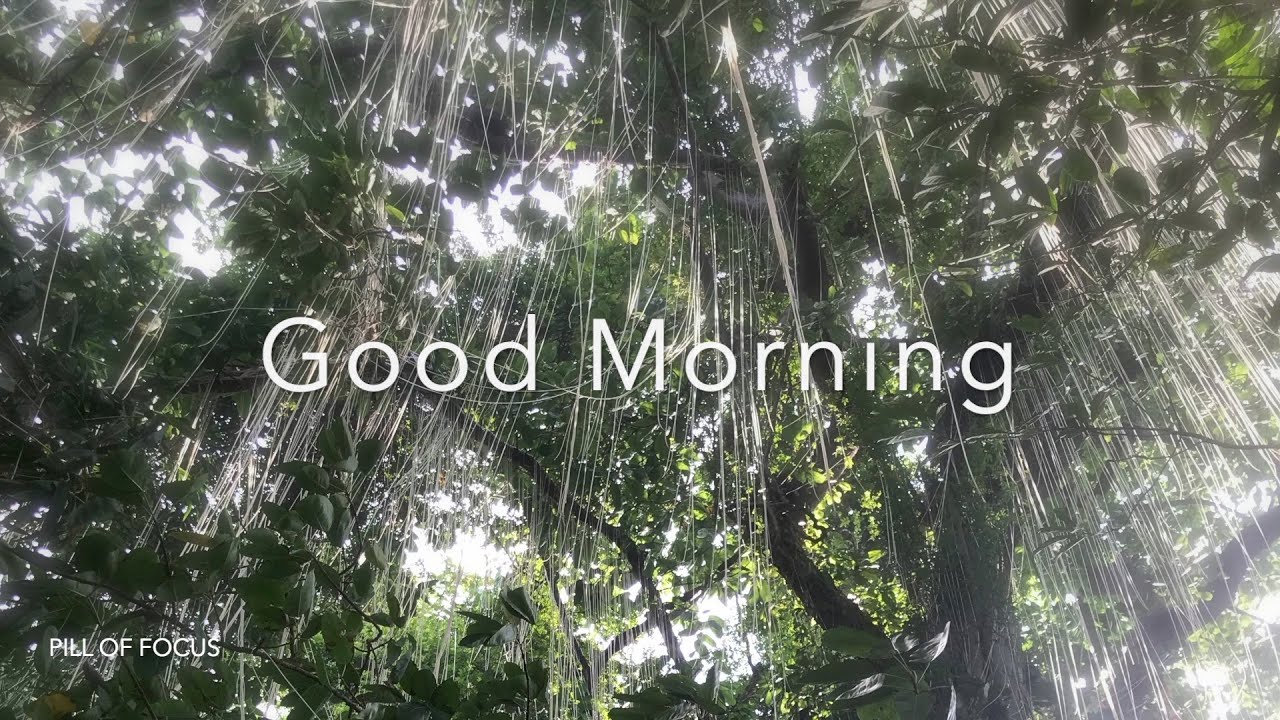 4 Minute of Good Morning with Nature | Upbeat Background Music | Feel ...