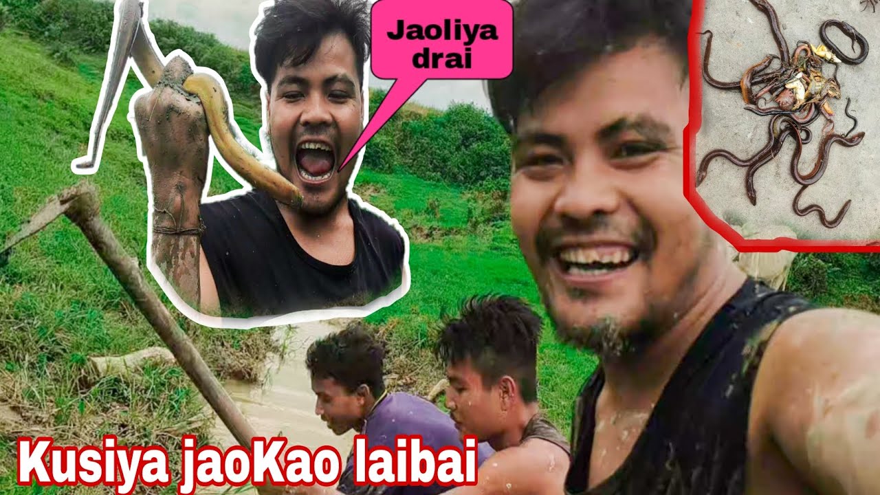 KUSIYA JAOKAO LAIBAI LAGAO ENTRESS BOILAR PONGBAI🫵🤣🤣🤣 FISH CATCHING Eel ...